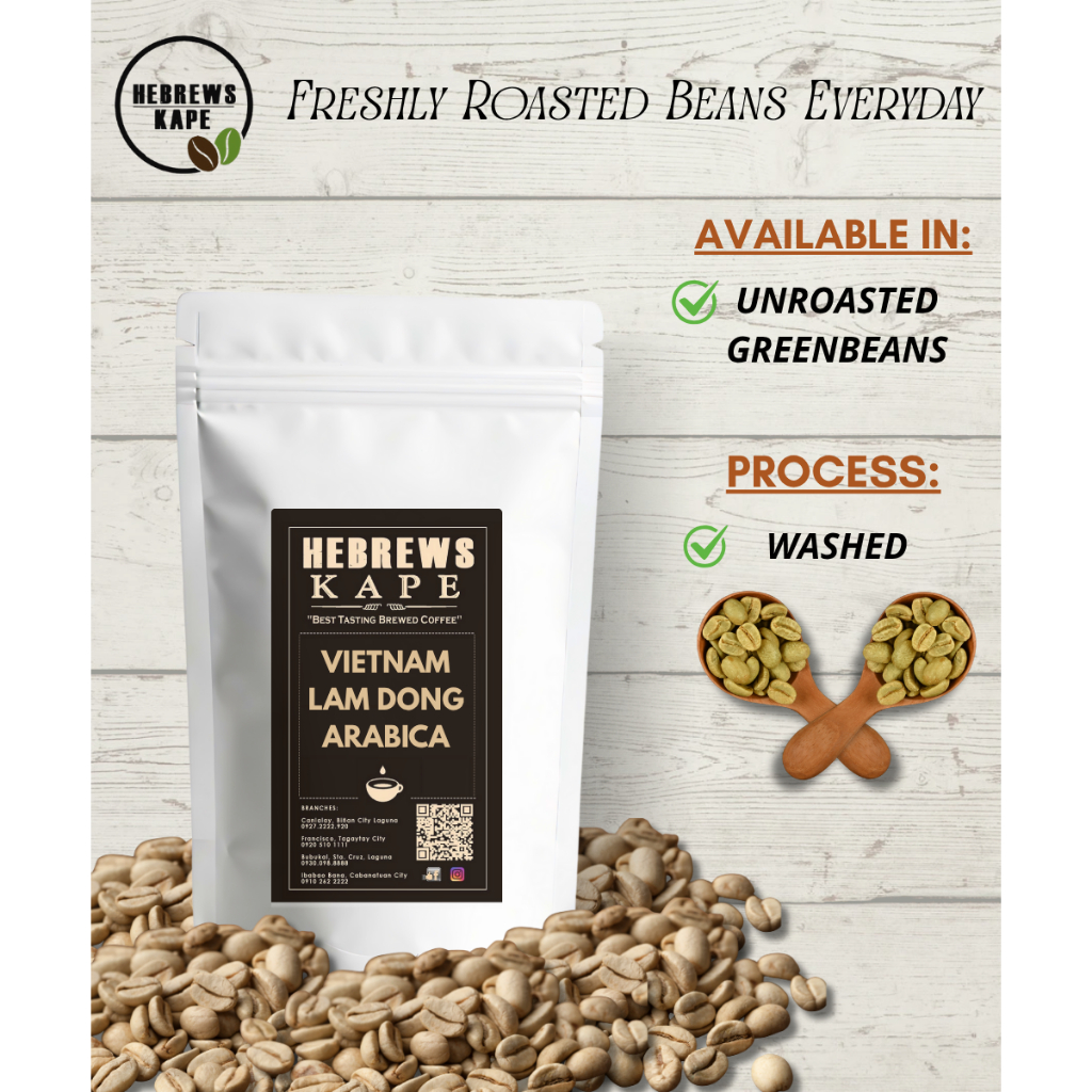 1KL VIETNAM ARABICA LAM DONG GREENBEANS (INTERNATIONAL COFFEE BEANS ...