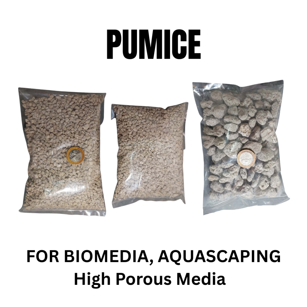 Pumice Stone for Aquascaping & Biomedia | Ultra-Porous Volcanic Rock ...