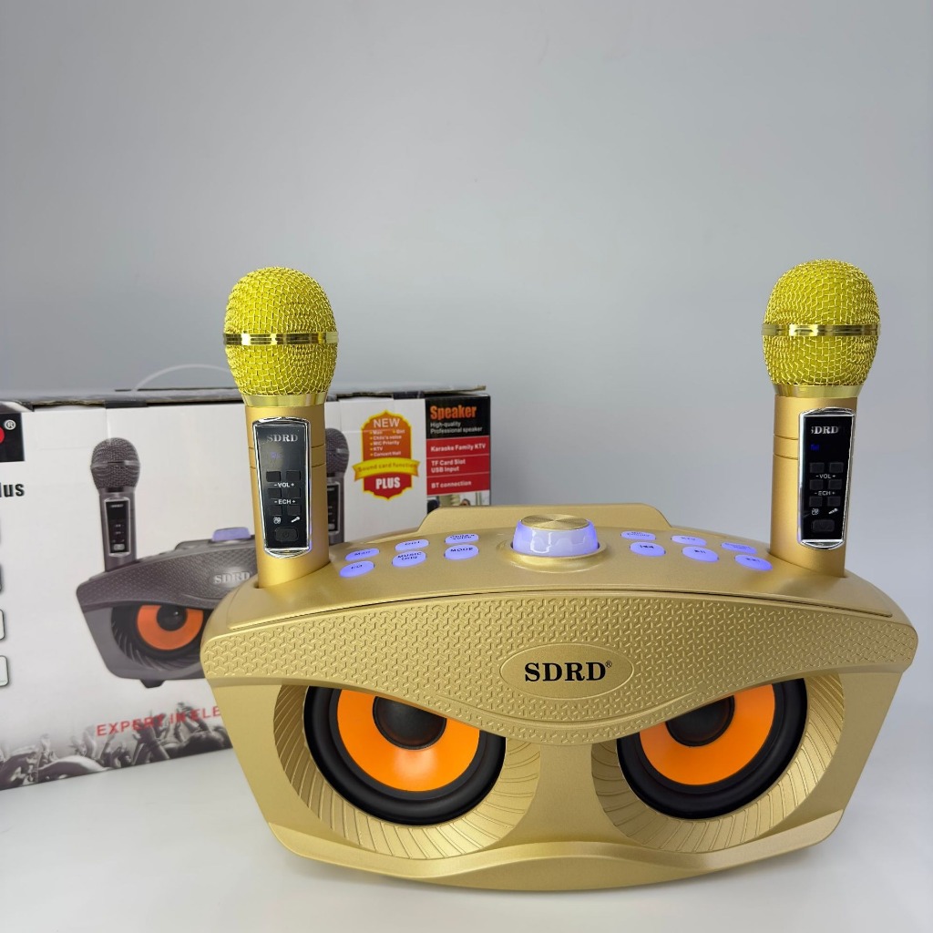 SDRD SD 306 Plus Professional Karaoke Machine Wireles Bluetooth Speaker With Dual Mic (SALE ...