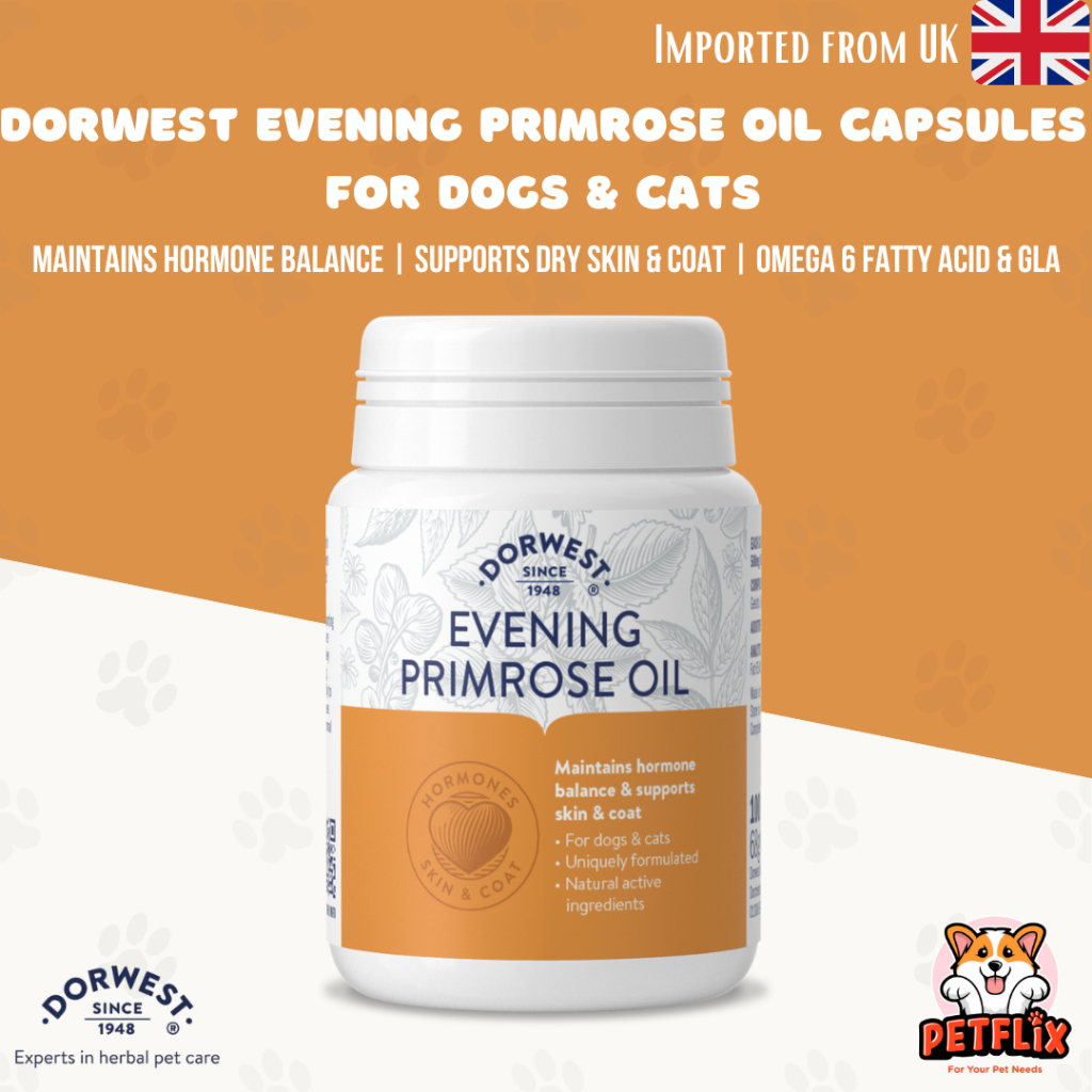 Dorwest Evening Primrose Oil Capsule for Dogs & Cats Natural Support ...