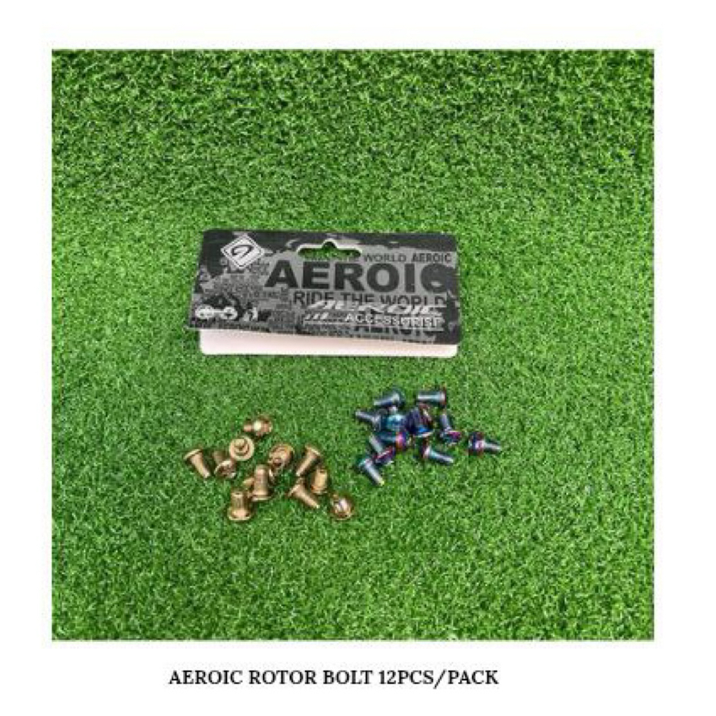 AEROIC ROTOR BOLT FOR FLOATING DISC OILSLICK/BLUE 12pcs/PACK | Shopee ...