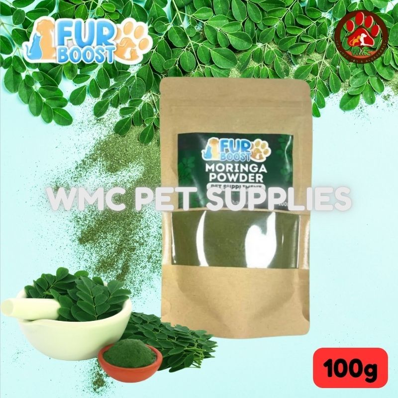 100g Moringa Powder SUPLEMENT Natural Ingredients for Cats and Dogs ...