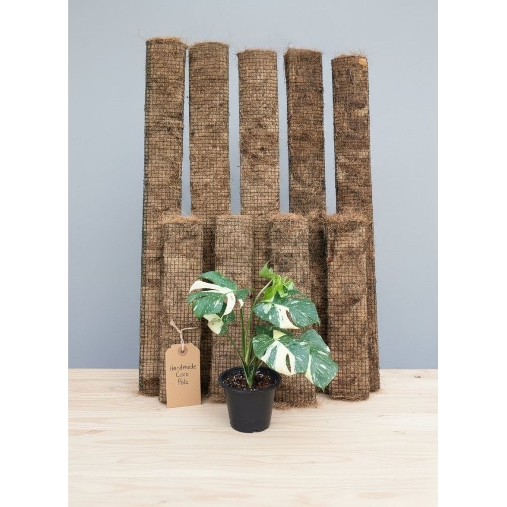 Premium Anti-Rust Flat Pole, Coco Pole, Plant Pole (PVC Coated Mesh ...