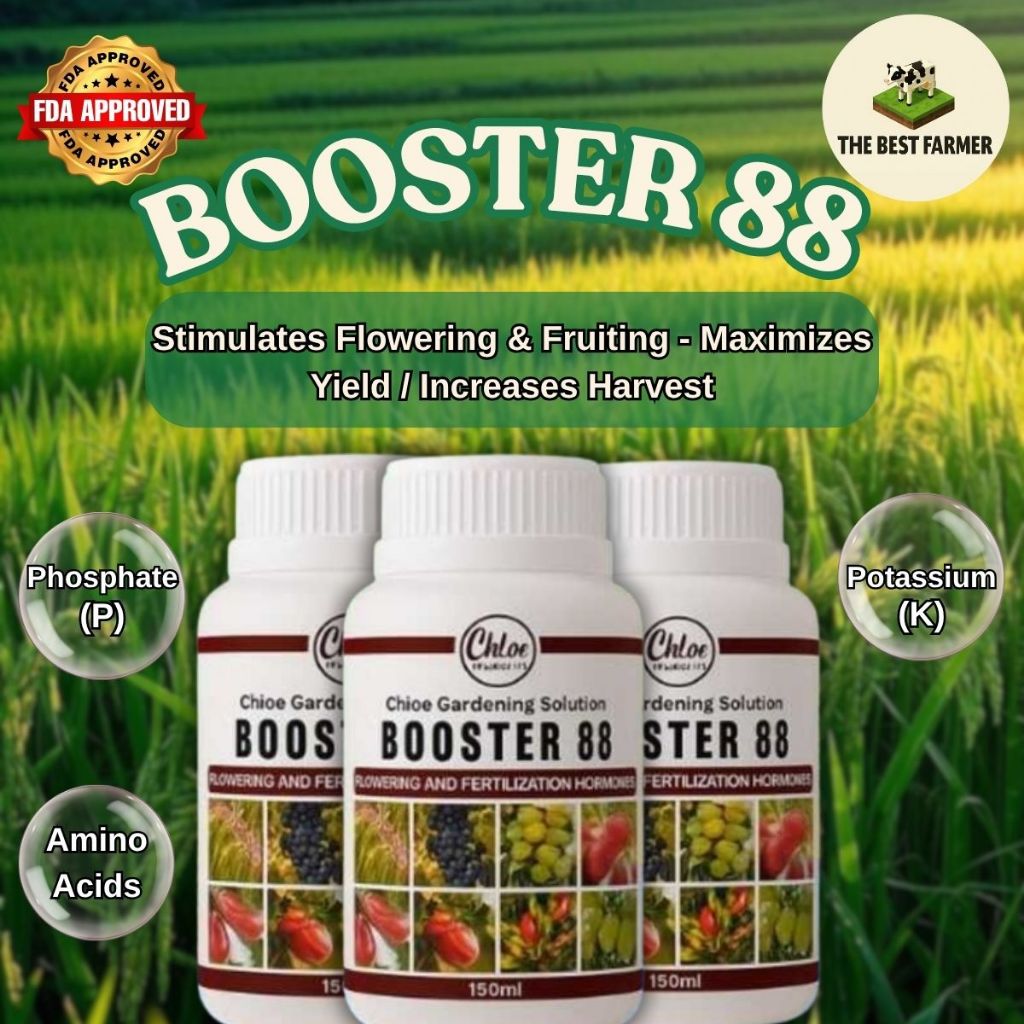 Booster 88 150ml – Powerful Organic Booster to Maximize Crop Yield ...