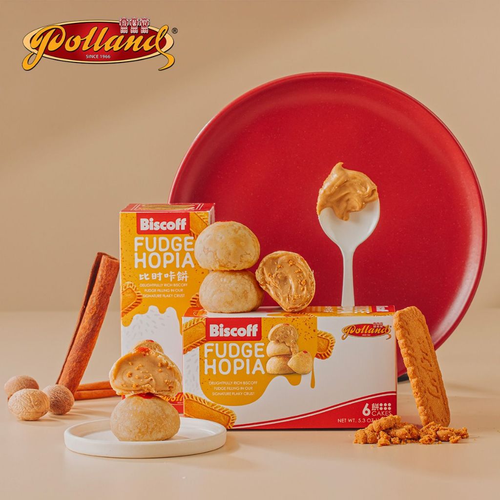 Polland Biscoff Fudge 6pcs 30grams per piece BITE SIZE | Shopee Philippines