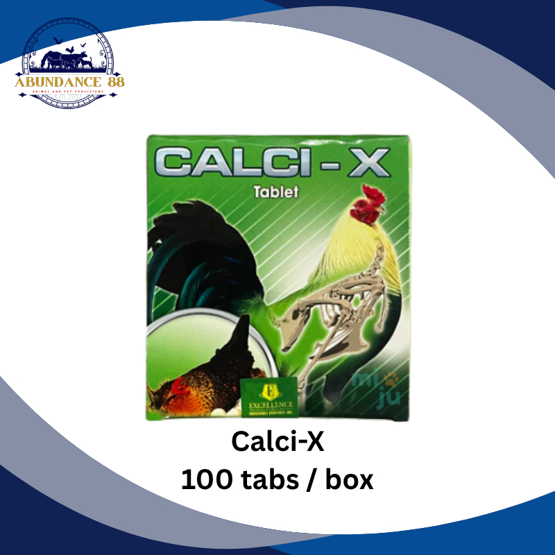 EXCELLENCE CALCI-X (100 TABLETS) - 1 BOX | Shopee Philippines