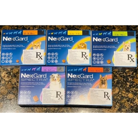 Nexgard and Nexgard Spectra chewable per BOX w/ STICKER (AUTHENTIC) exp ...