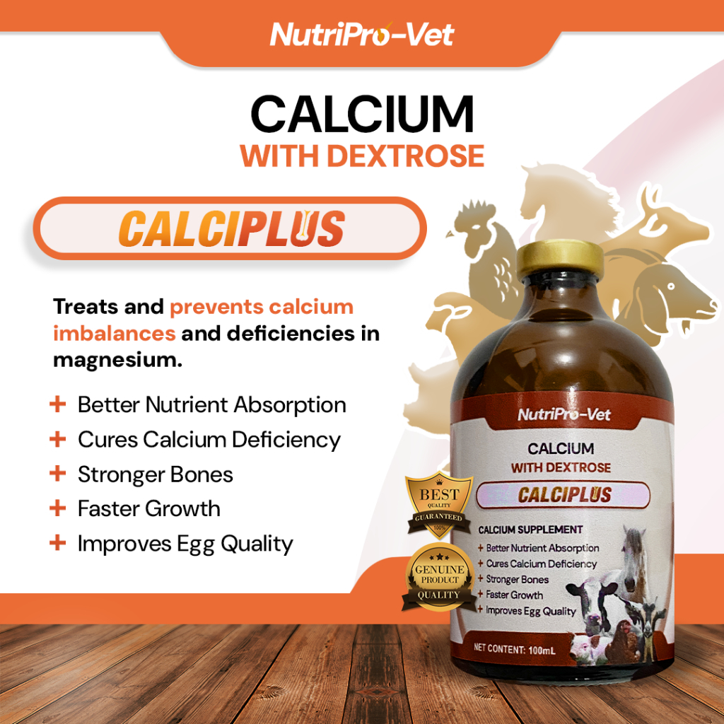 NutriPro Vet | Calciplus Calcium with Dextrose 100ml | Supplement ...
