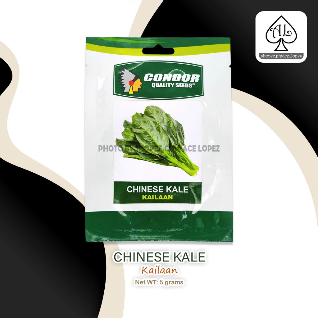 Condor Vegetable Seeds Chinese Kale Kailaan als21207 | Shopee Philippines