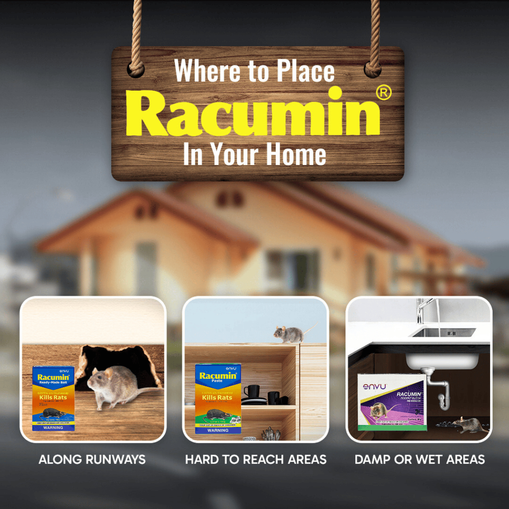 Racumin Paste Ready-To-Use Paste Rat Killer 100g | Shopee Philippines