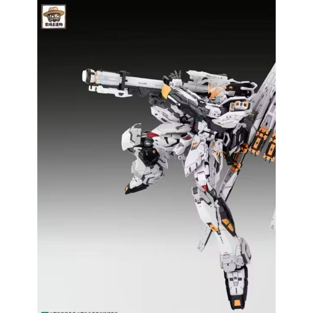 Fortune Meow NU 1:100 SCALE New Model Kit | Shopee Philippines