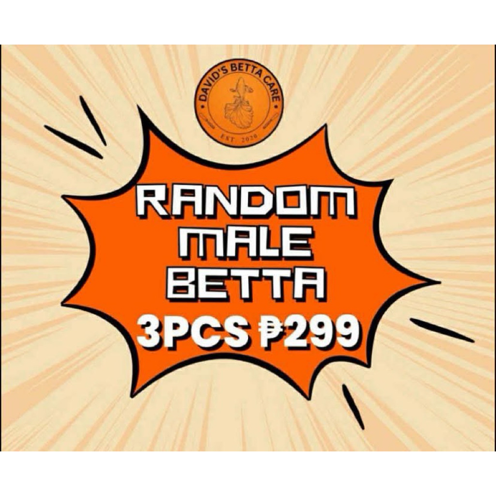 Random Male 3pcs for 299 G na! | Shopee Philippines
