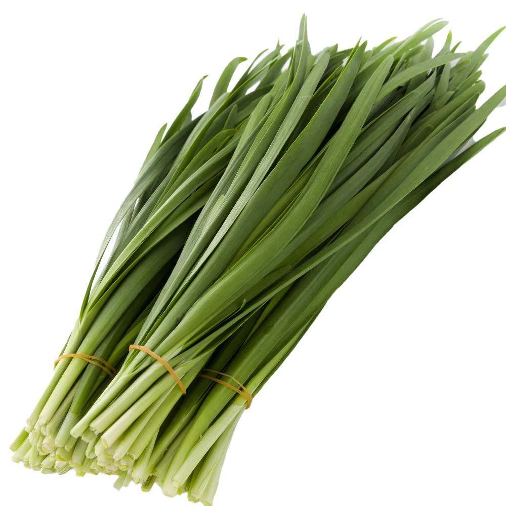 Chinese Chives Kuchay 1200pcs seeds -| Garlic Chives Herb Seeds, Easy ...