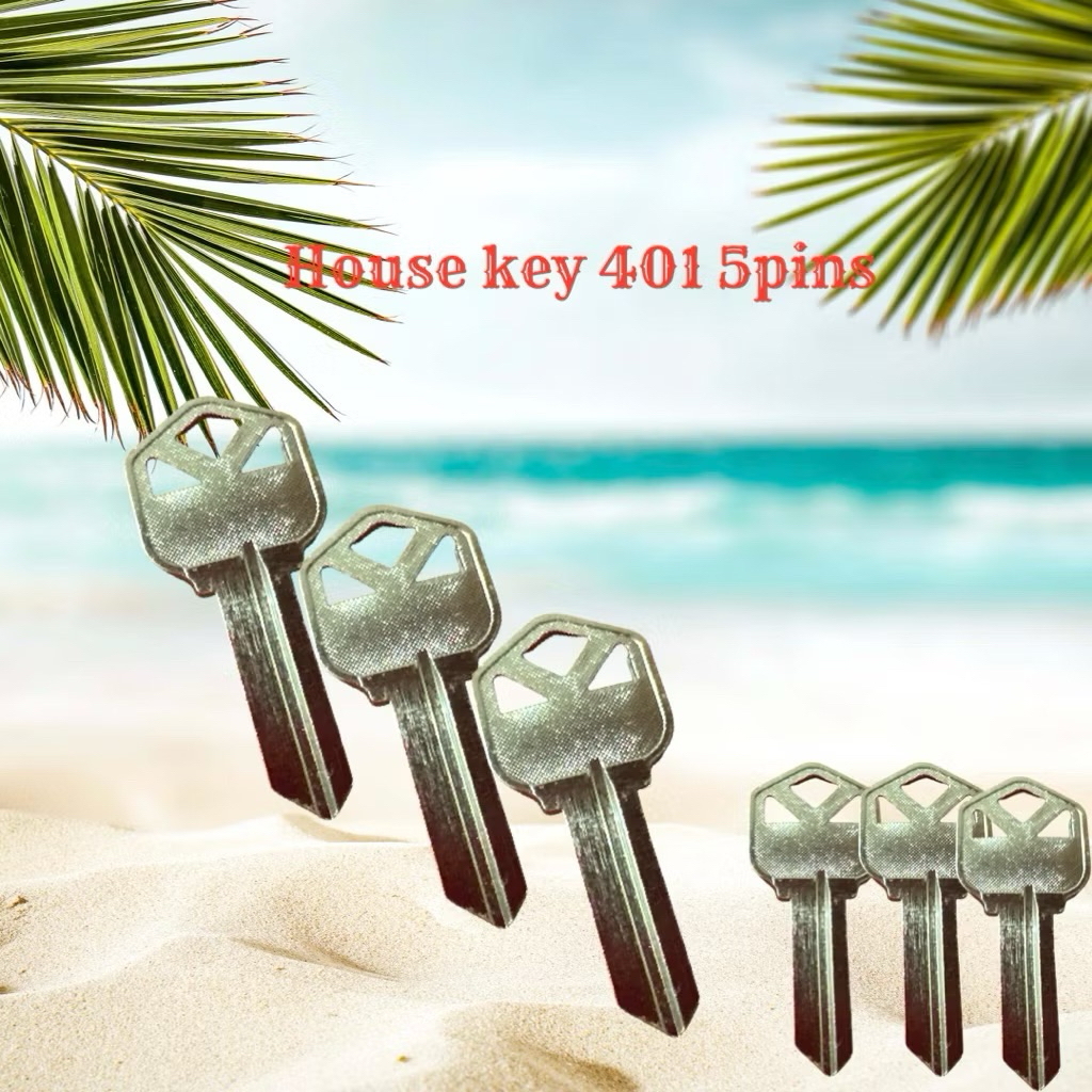 House key KS1(10pcs for 80) | Shopee Philippines