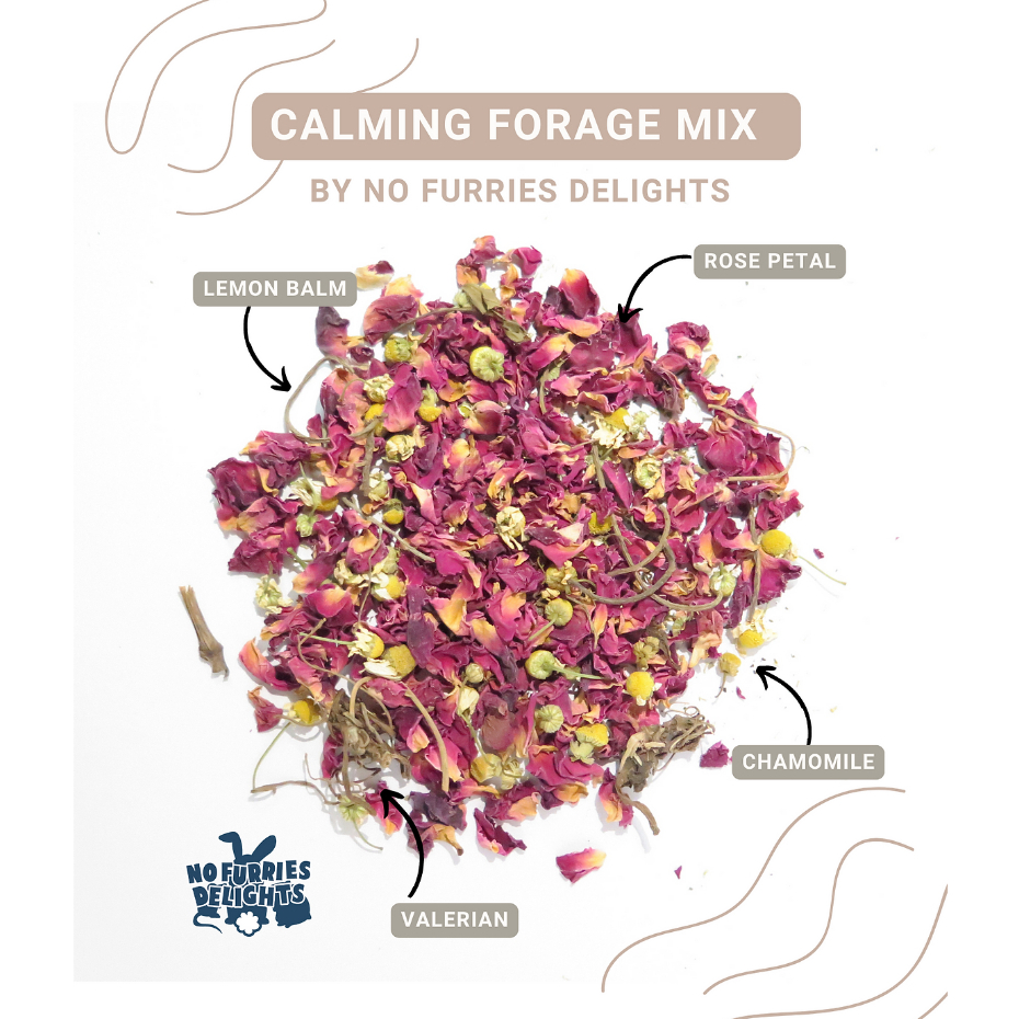 No Furries Delights Forage: MEGA CALMING Premium Mix (25g) Healthy ...