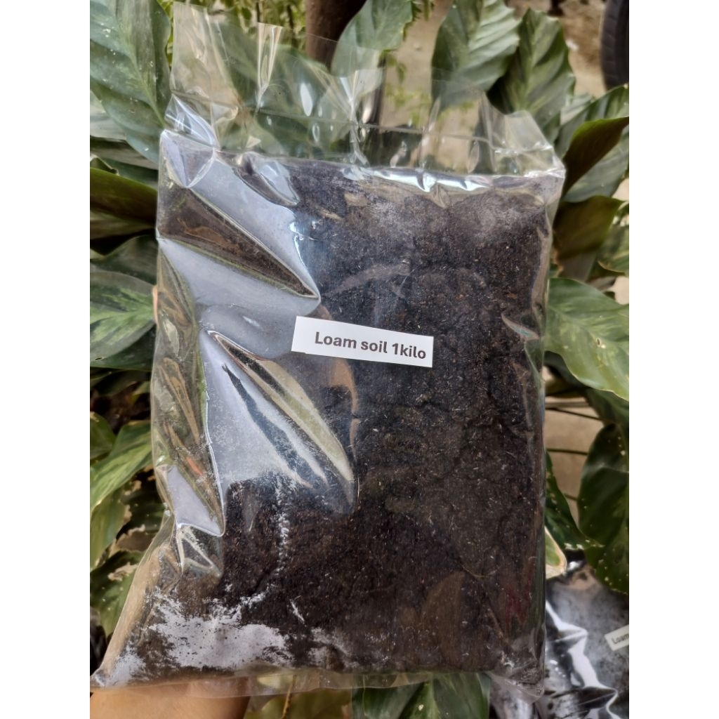 1 Kilo Loamsoil Repack 1 kilo only Pang halaman pang gardern | Shopee ...
