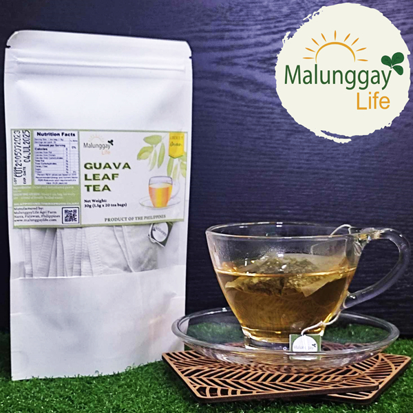 Guava Leaf Tea pure natural organic locally grown and farm grown ...