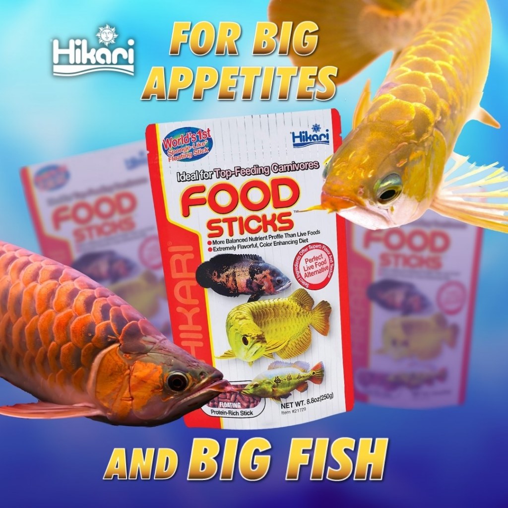 Hikari Carnivore Food Sticks (Perfect live-food alternative, for ...