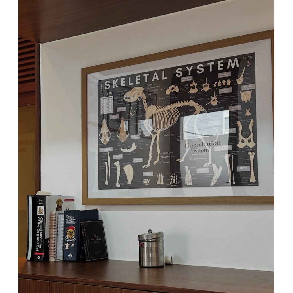 SKELETAL SYSTEM POSTER | Shopee Philippines