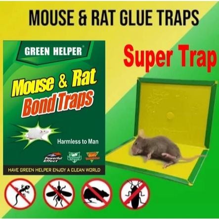 Green Mouse & Rat Glue Trap Super Strong Rat Trap Pang huli ng Daga ...