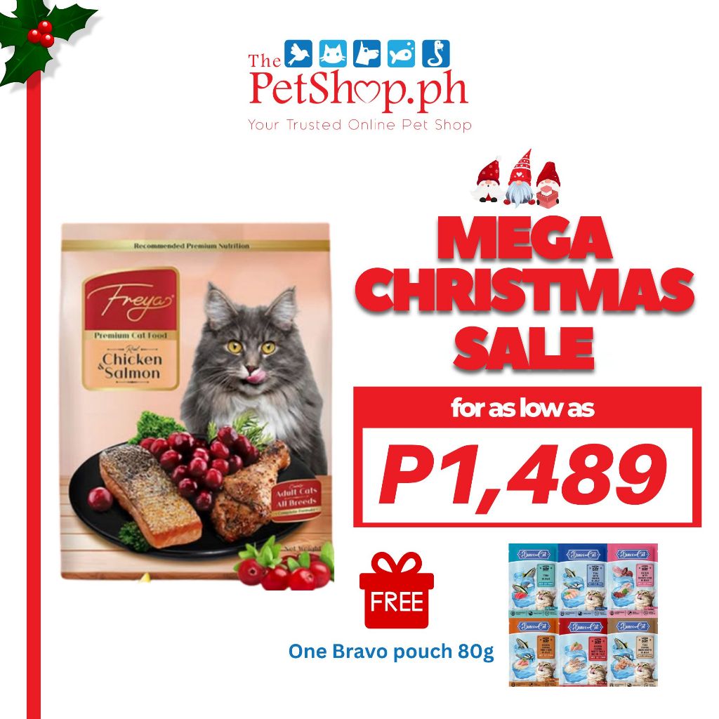 Freya Premium Dry Cat Food 10kg (FREE 1 BRAVO Cat 80g) | Shopee Philippines