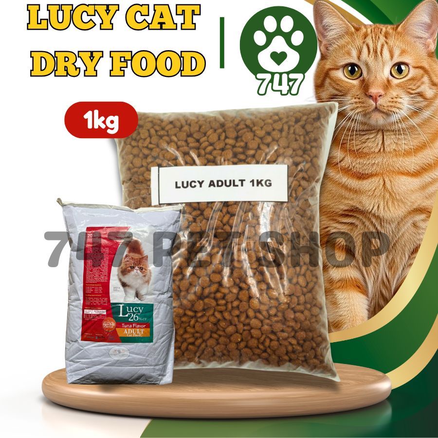 1kg Lucy Cat Cats Dry Food All Stages Adult Kitten Pet Complete ...