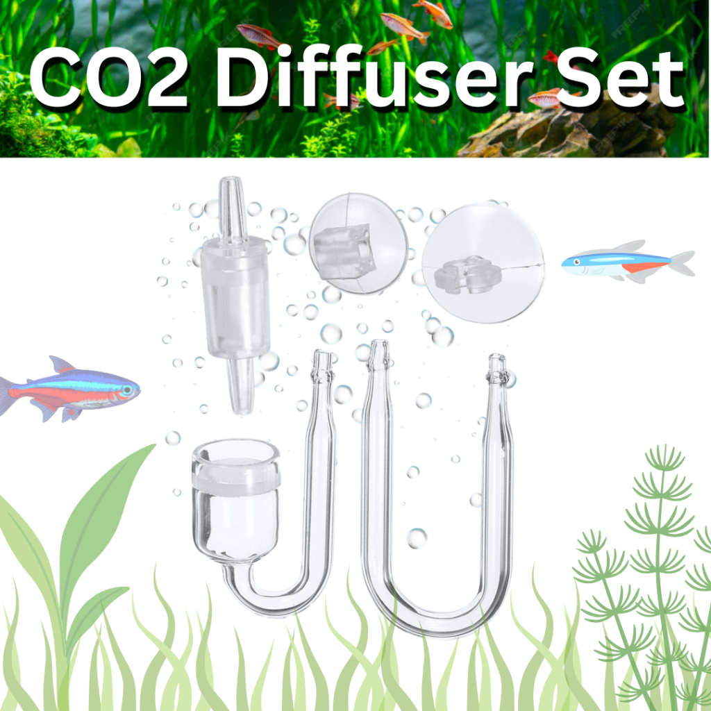 Glass CO₂ Diffuser Kit | for Planted Aquarium CO2 System | Shopee Philippines