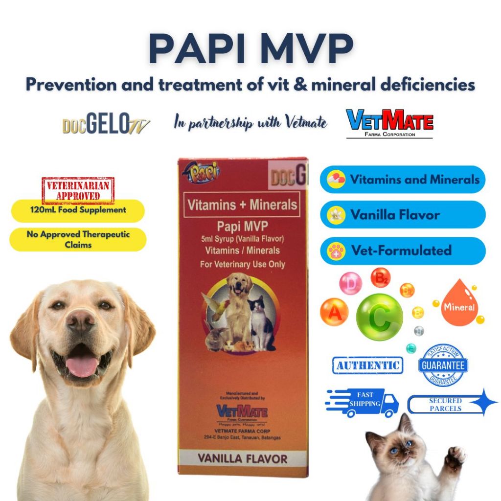 Papi MVP Vitamins + Minerals for Dogs/Cats | Shopee Philippines