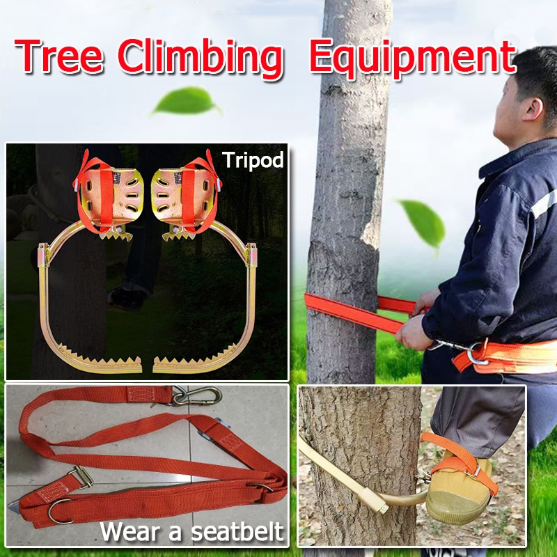 Foot Buckle Tree Climbing Tool for Tree Climbing, Specialized Tool for ...