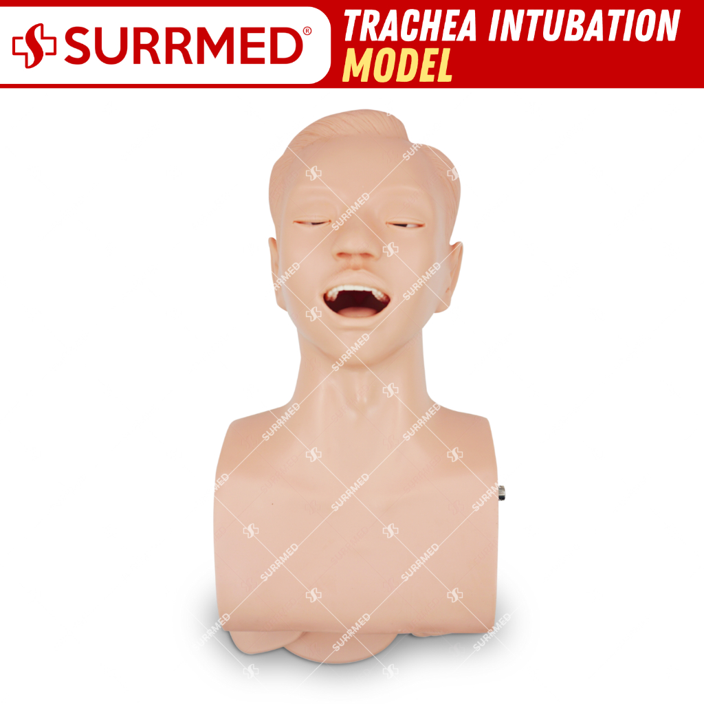SURRMED Trachea Intubation Model | Airway Management Trainer for ...