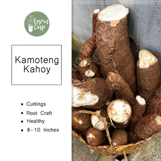 Shop kahoy for Sale on Shopee Philippines