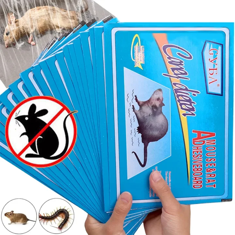 Dikit Bitag ng Daga 20Pcs Mouse & Rat Glue Traps for Effective Pest ...
