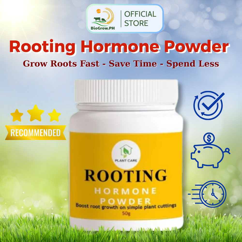 GrowFast Rooting Powder 50g – Organic Root Hormone for Cuttings, Seeds ...