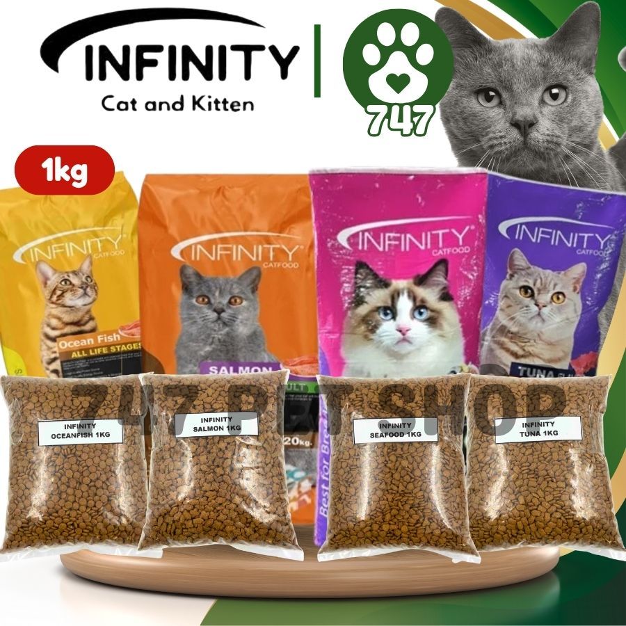 1kg Infinity Cat Cats Dry Food All Stages Adult Kitten Pet Food ...