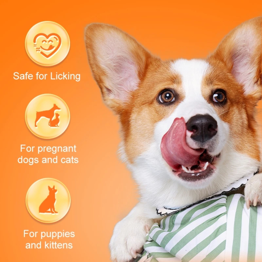 PUAINTA Antifungal Pipot Spray for Dogs & Cats | Skin Disease Itch ...