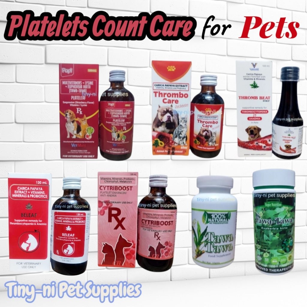 Platelets Count concern for Pet Dogs and Cats| Thrombo Care - Plateleaf ...