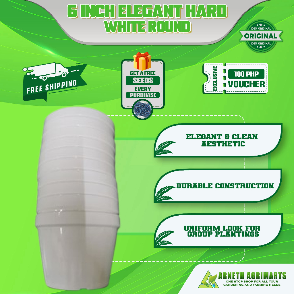 ARNETH 6 INCH ELEGANT POT (10 PCS) | Shopee Philippines