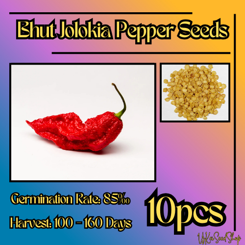 Bhut Jolikia Pepper Seeds (10pcs) | Shopee Philippines