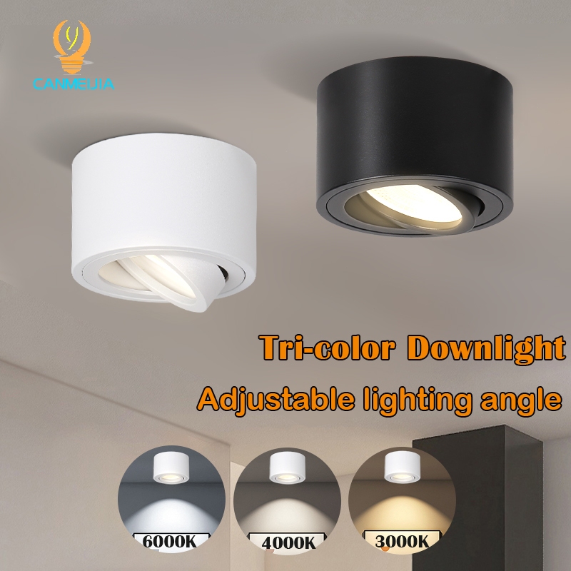 Tri-color Downlight Adjustable Lighting Angle LED Pin Light for Ceiling ...