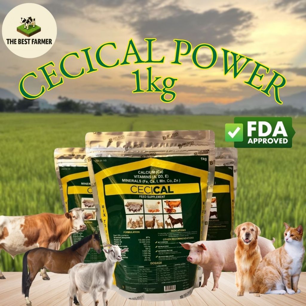 Cecical Powder 1kg (Calcium) Feed Additive (Vitamin & Minerals) for ...