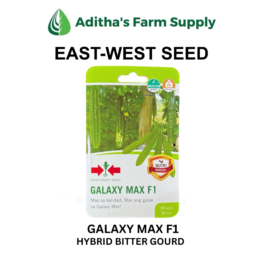Aditha’s East-West Seed: Galaxy Max F1 (Hybrid Bitter Gourd/Ampalaya ...