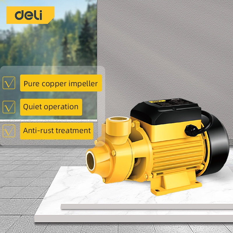 Deli Electric Water Pump Motor 220V 0.5HP Electric Booster Pump Water ...