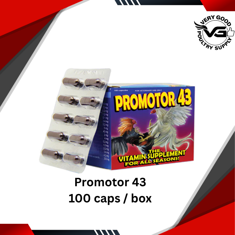 EXCELLENCE PROMOTOR 43 CAPSULE (100 CAPSULES0 - 1 BOX | Shopee Philippines