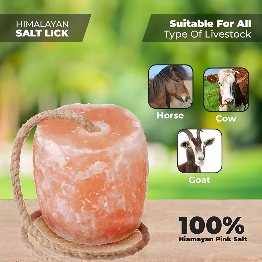 1-2kg\2-3kg Himalayan Mineral Salt Block Natural Salt Lick For ...