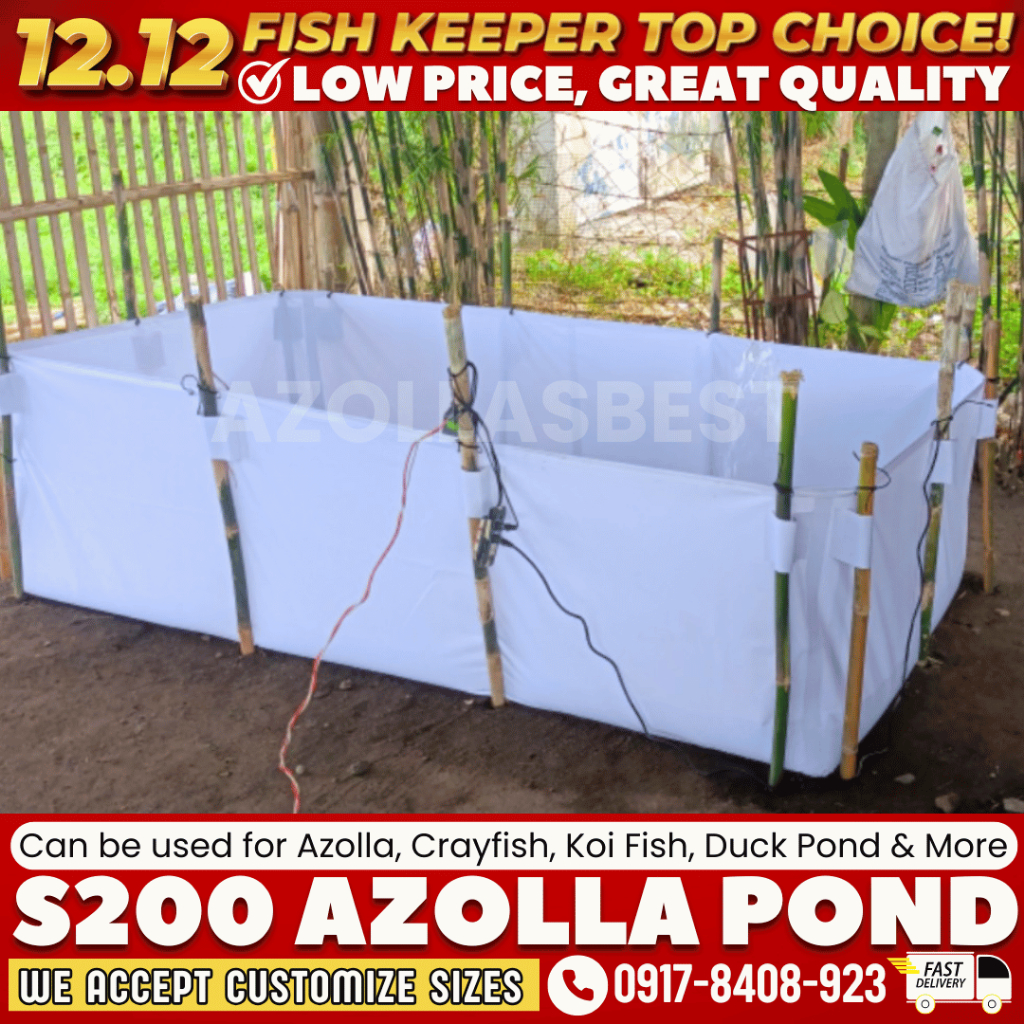 6x3x1.5ft POOL TYPE S200 Heavy Duty Thickest Trapal for Azolla and ...