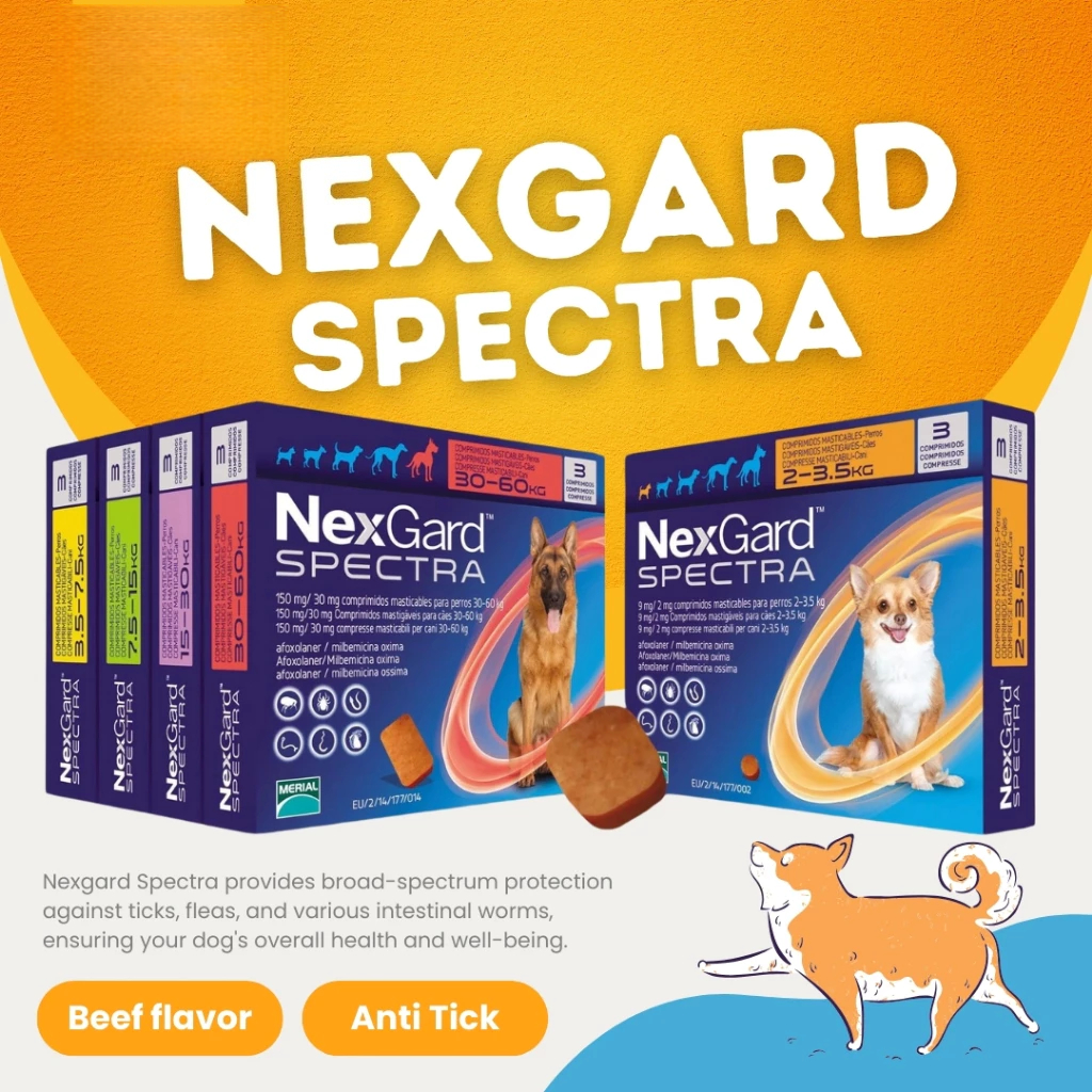 Nexgard Spectra for Dogs Anti Tick Flea garapata For Dogs Tick And Flea ...