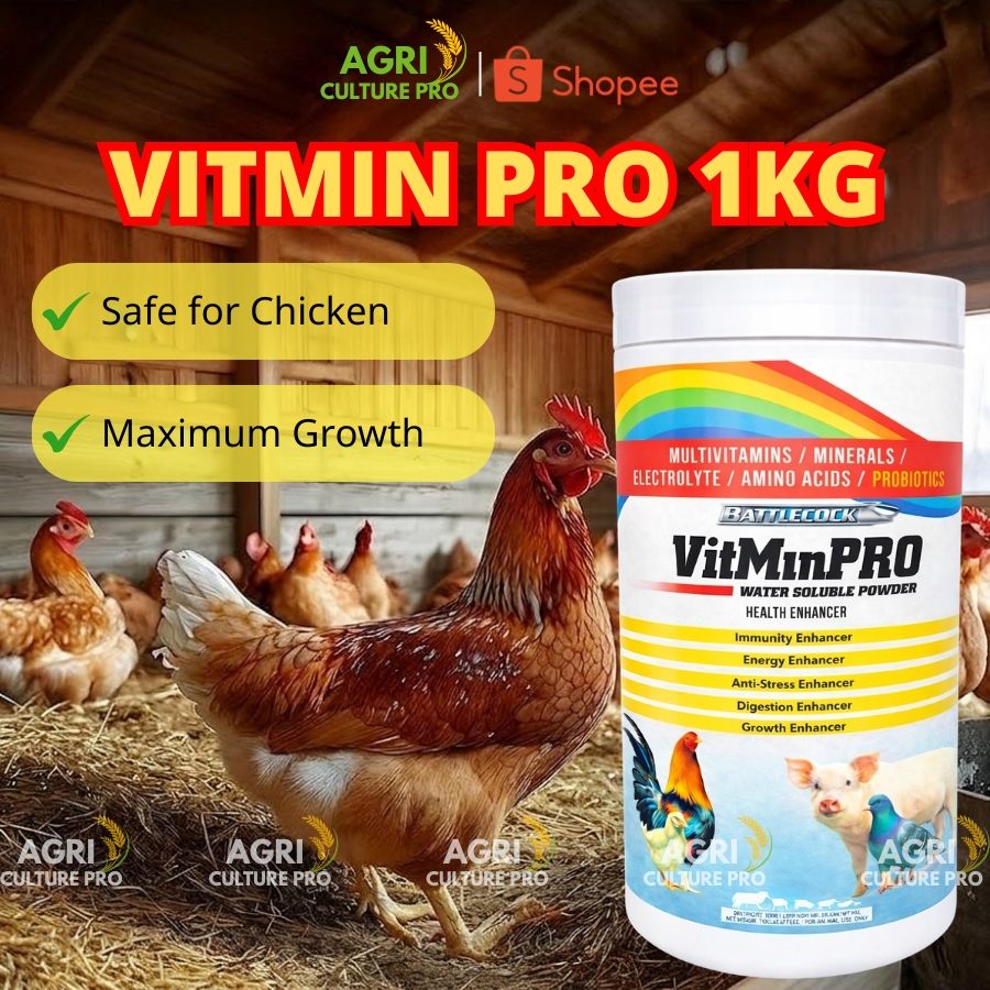 Shop vitmin pro for Sale on Shopee Philippines