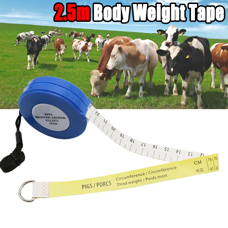 2.5m Professional Retractable Measuring Body Weight & Height Tape ...