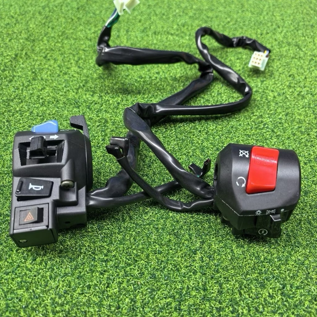 MOTORCYCLE HANDLE SWITCH RUSI CHARIOT 175 | Shopee Philippines