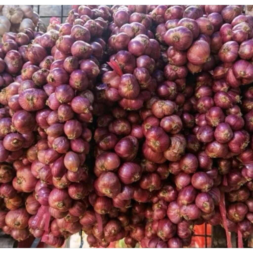 native onion 1kg sibuyas no chemicals shallots more flavorful & no ...